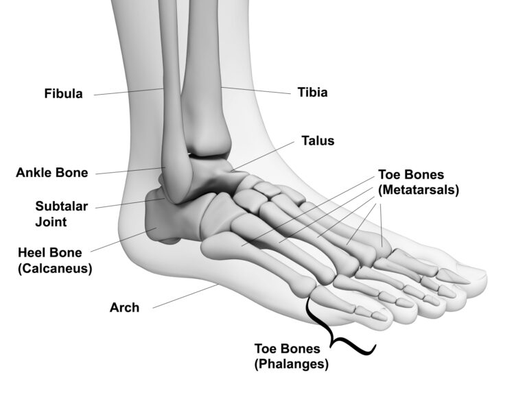 Arthritis Of The Foot & Ankle - Advanced Orthopedic Specialists